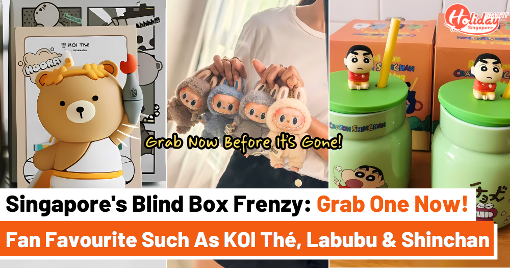 Singapore's Blind Box Frenzy: Grab Yours Now!
